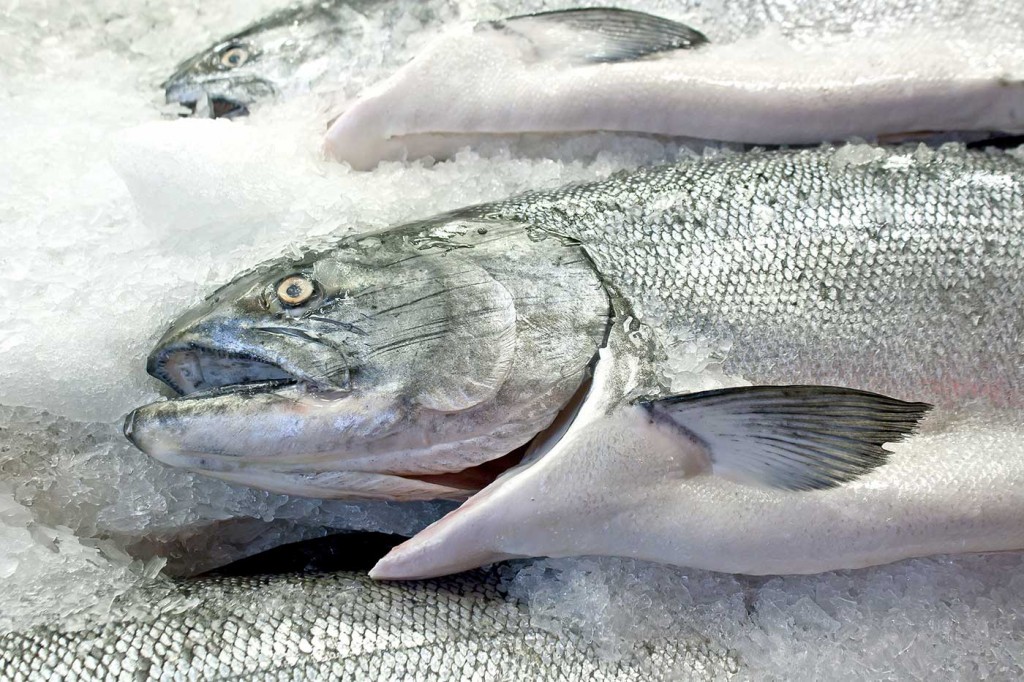 Le poisson frais est-il vraiment frais? - Blogue de l'Épicier